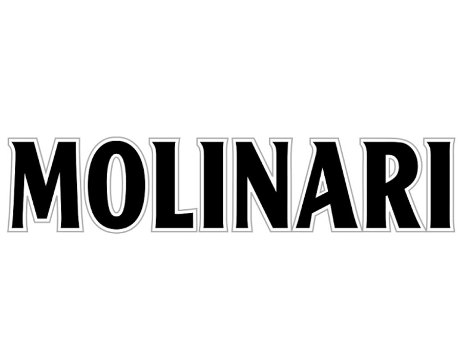 Molinari Logo Crest Of Family Molinari 15900 Bitmap USD